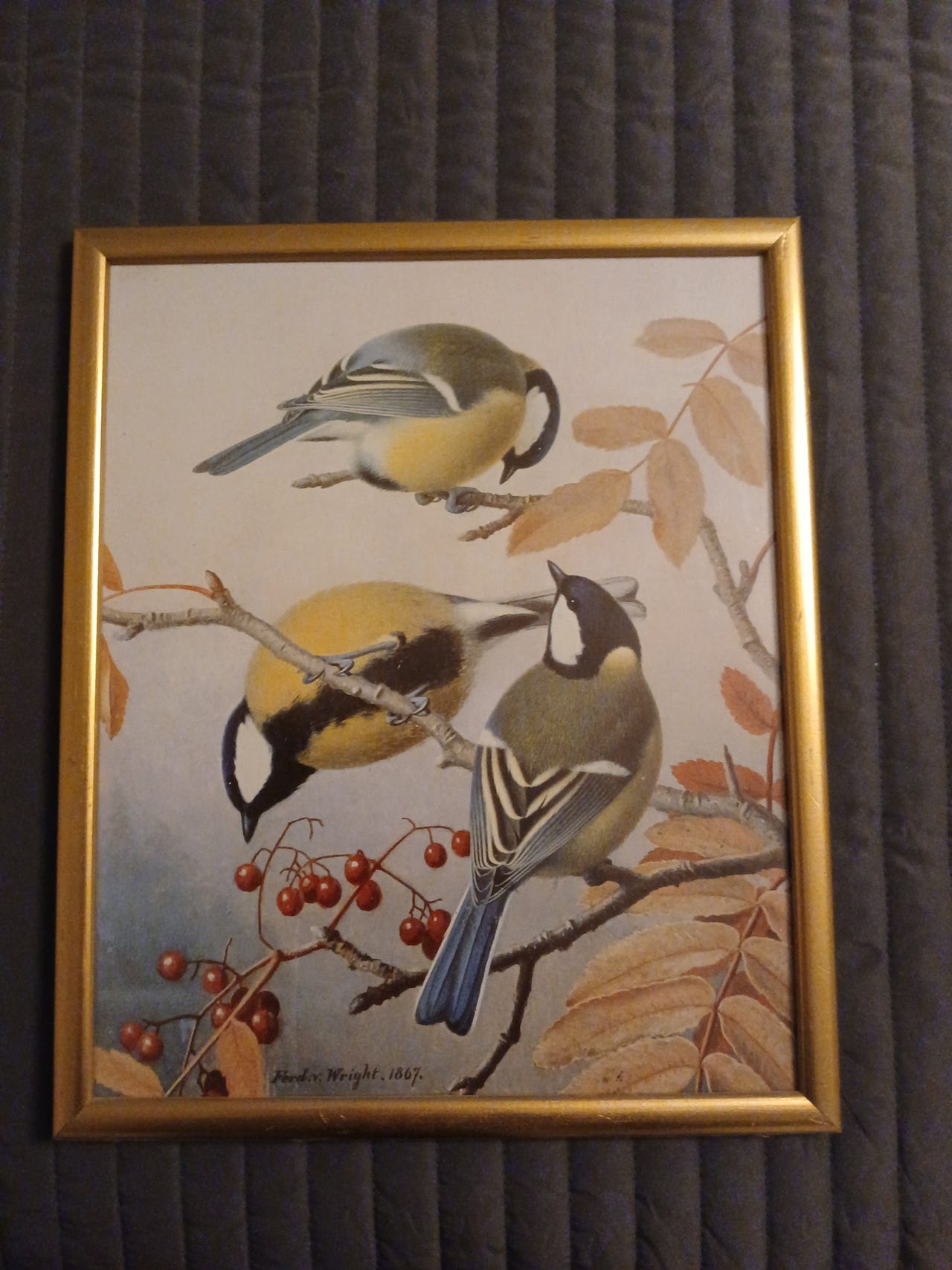 Lintu taulut 4kpl ; Tiainen, Peipponen, Punatulkku, Tilhi | Tori