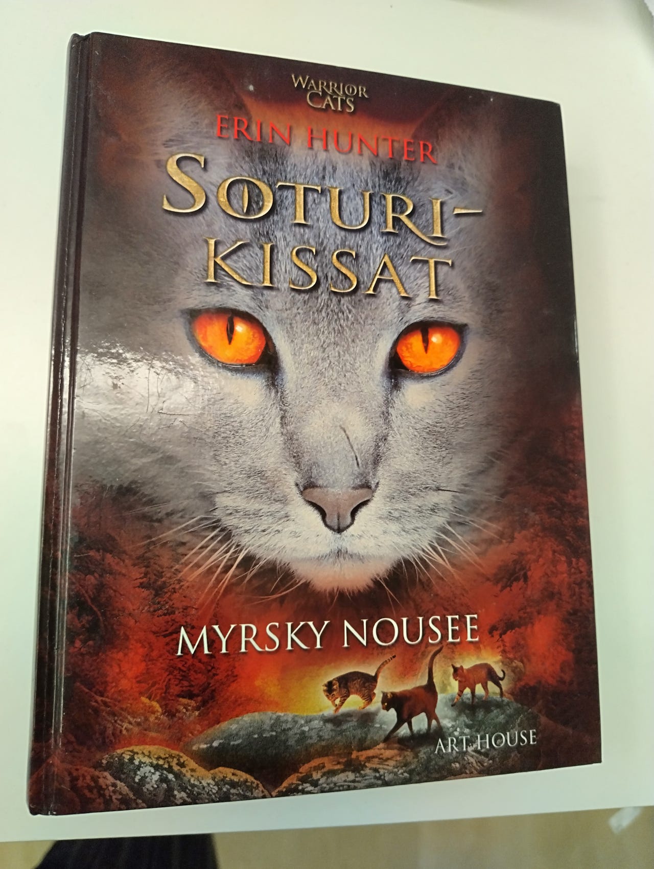 Soturikissat: Myrsky nousee | Tori