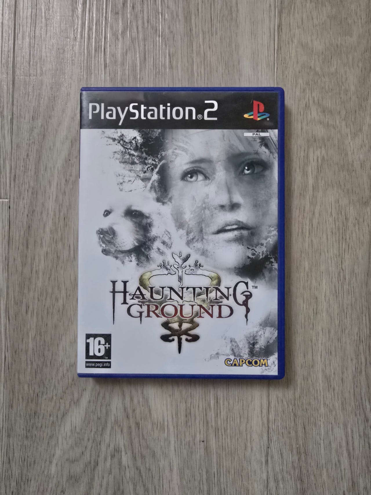 Haunting Ground PS2 PAL | Tori
