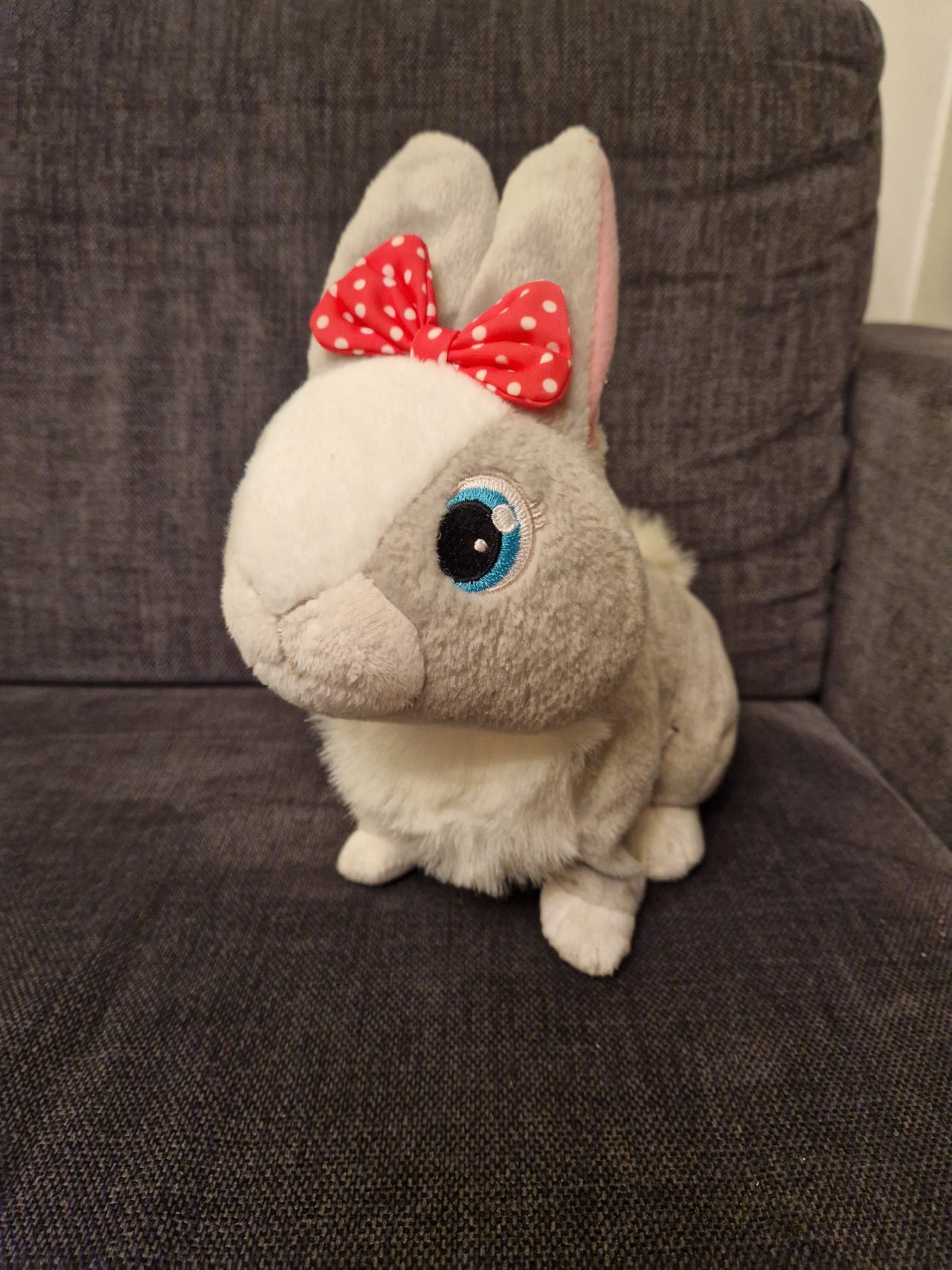 Club Petz Pupu | Tori