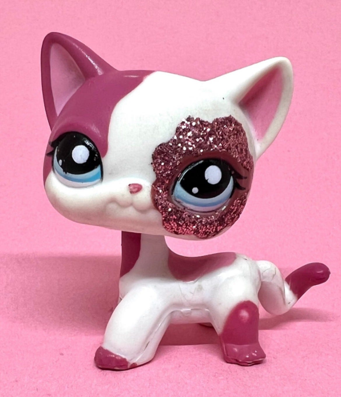 OSTAN kuvan LPS #2291 | Tori