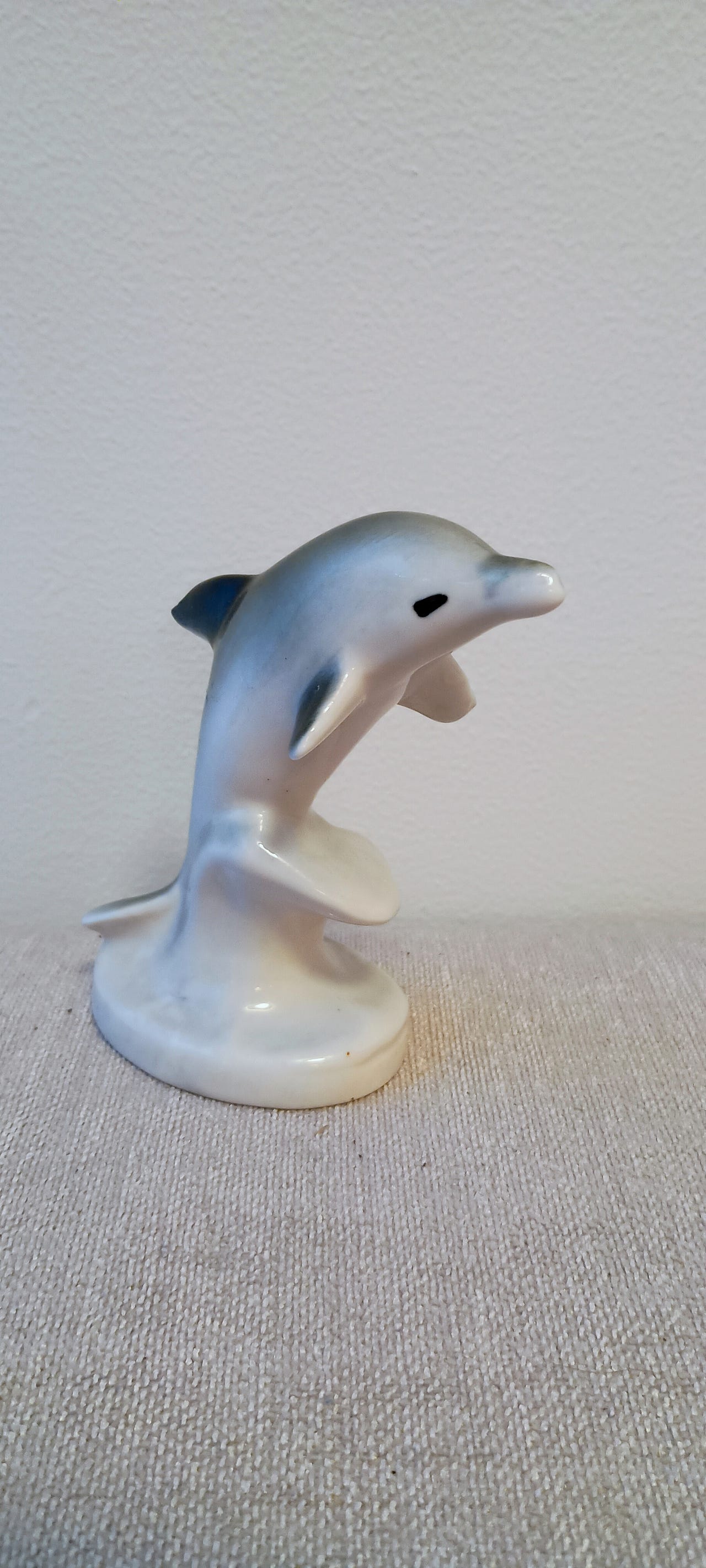 Lomonosov delfiini | Tori