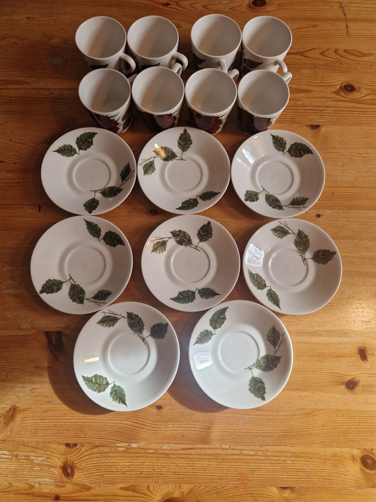 Arabian ruusu-astiastoa x 8 | Tori