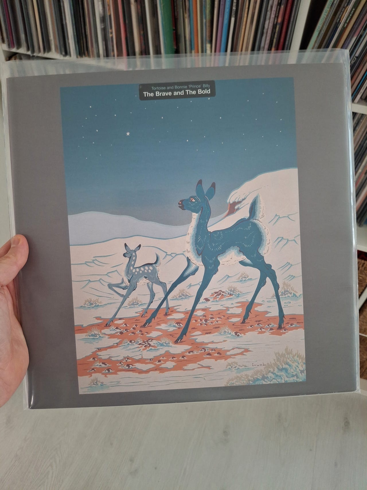 Tortoise & Bonnie Prince Billy - The Brave And The Bold | Tori