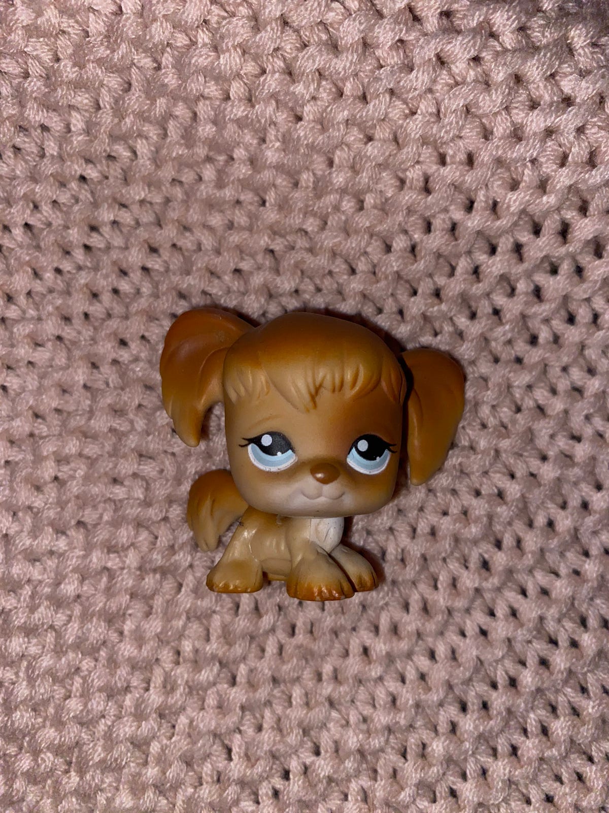 LPS #200 Spanieli | Tori