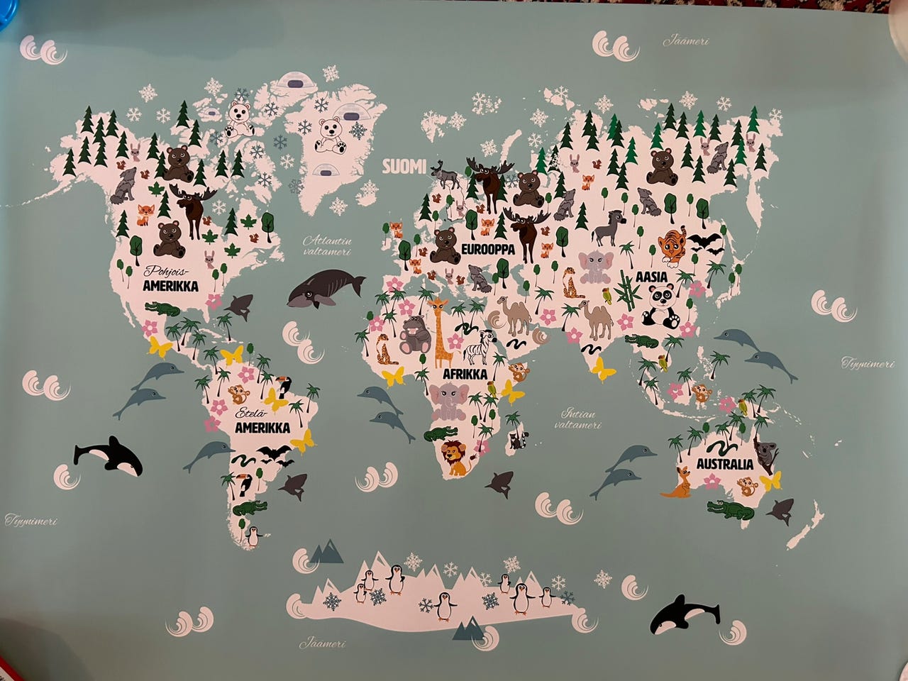 Maailman eläimet kartta juliste uusi | Tori