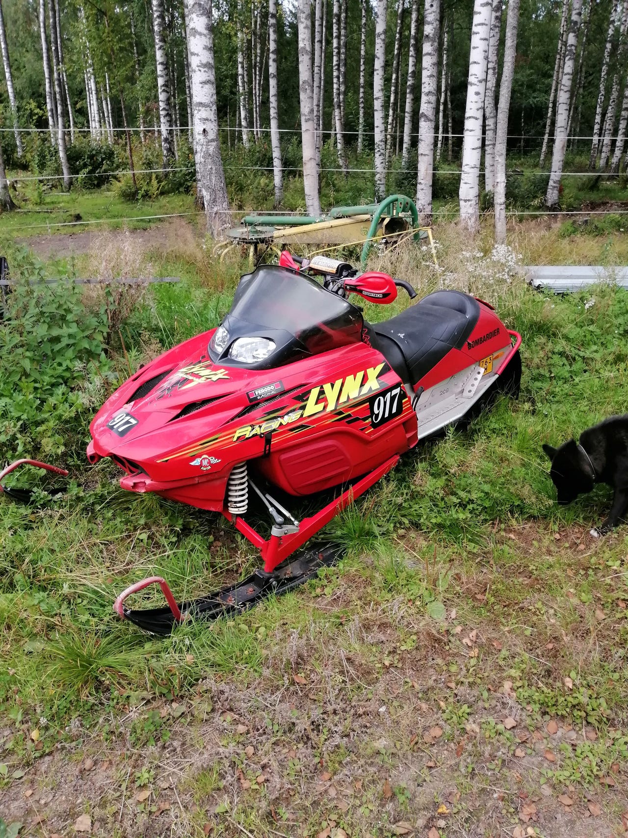 Lynx enduro | Tori