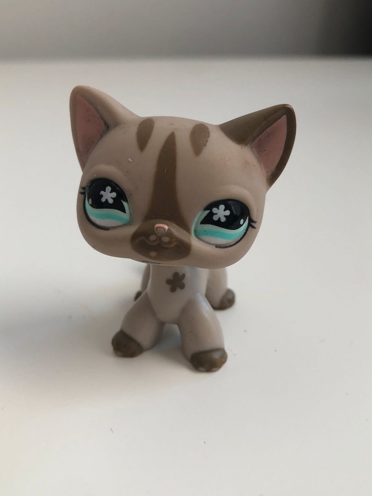 Lps seisova kissa | Tori