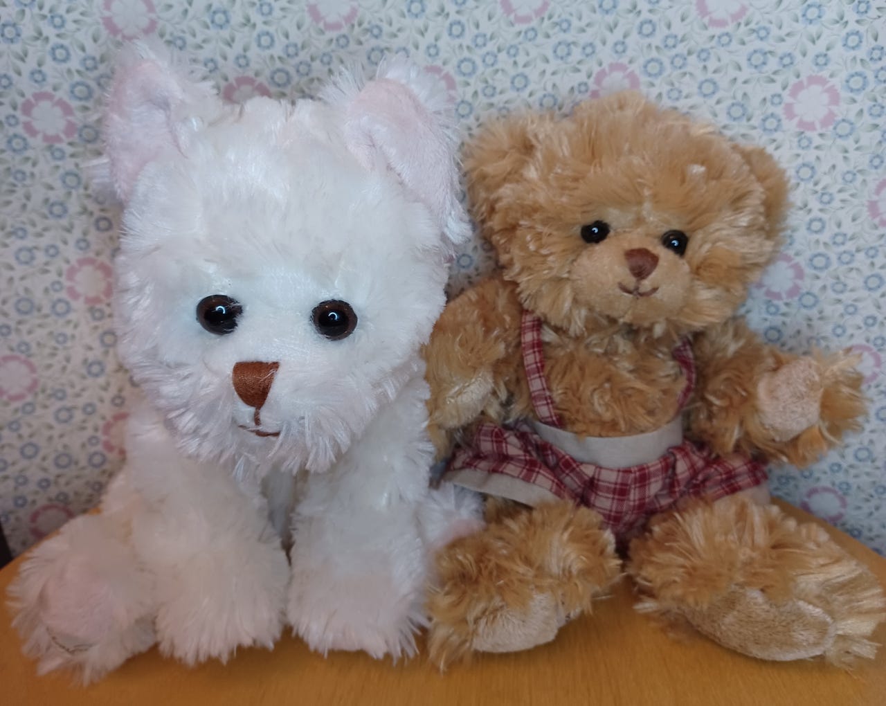 Bukowski koira ja nalle | Tori