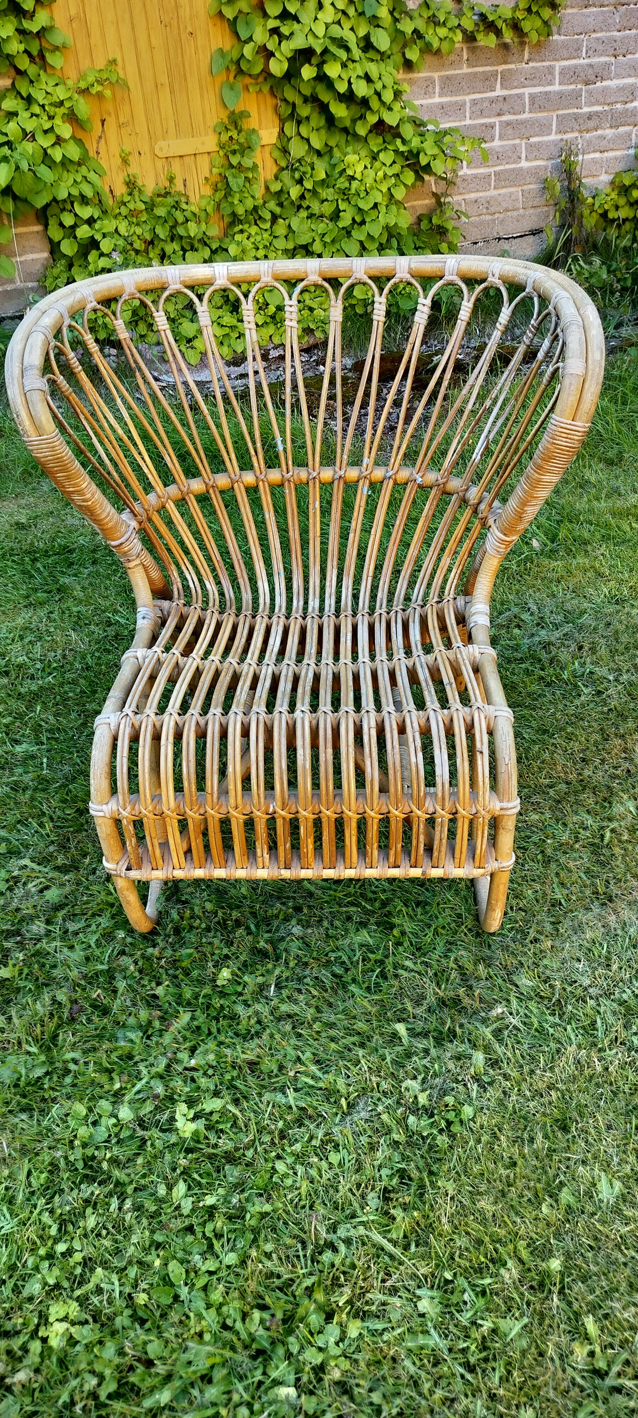 Rottinkituoli | Tori