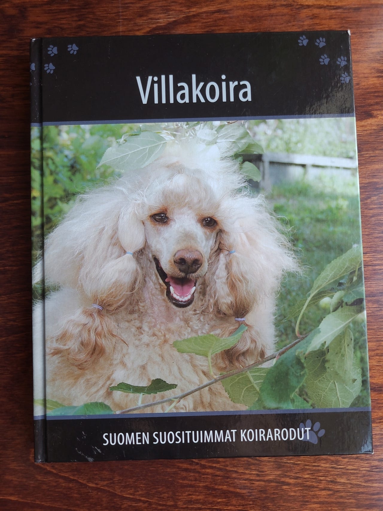 Villakoira – Suomen suosituimmat koirarodut | Tori