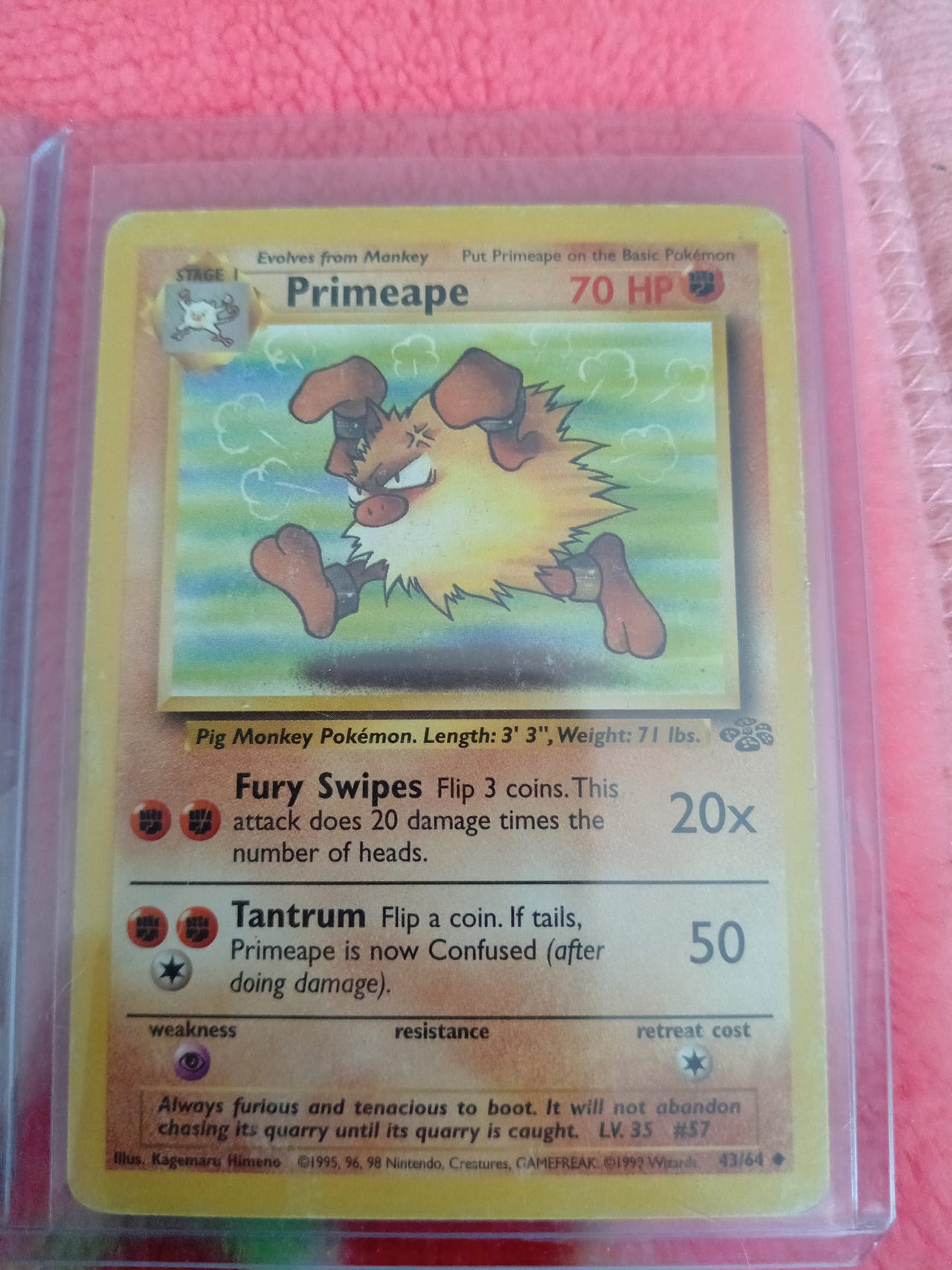 Pokémon Primeape, Charmander, Nidoran Kokoelmakortit | Tori