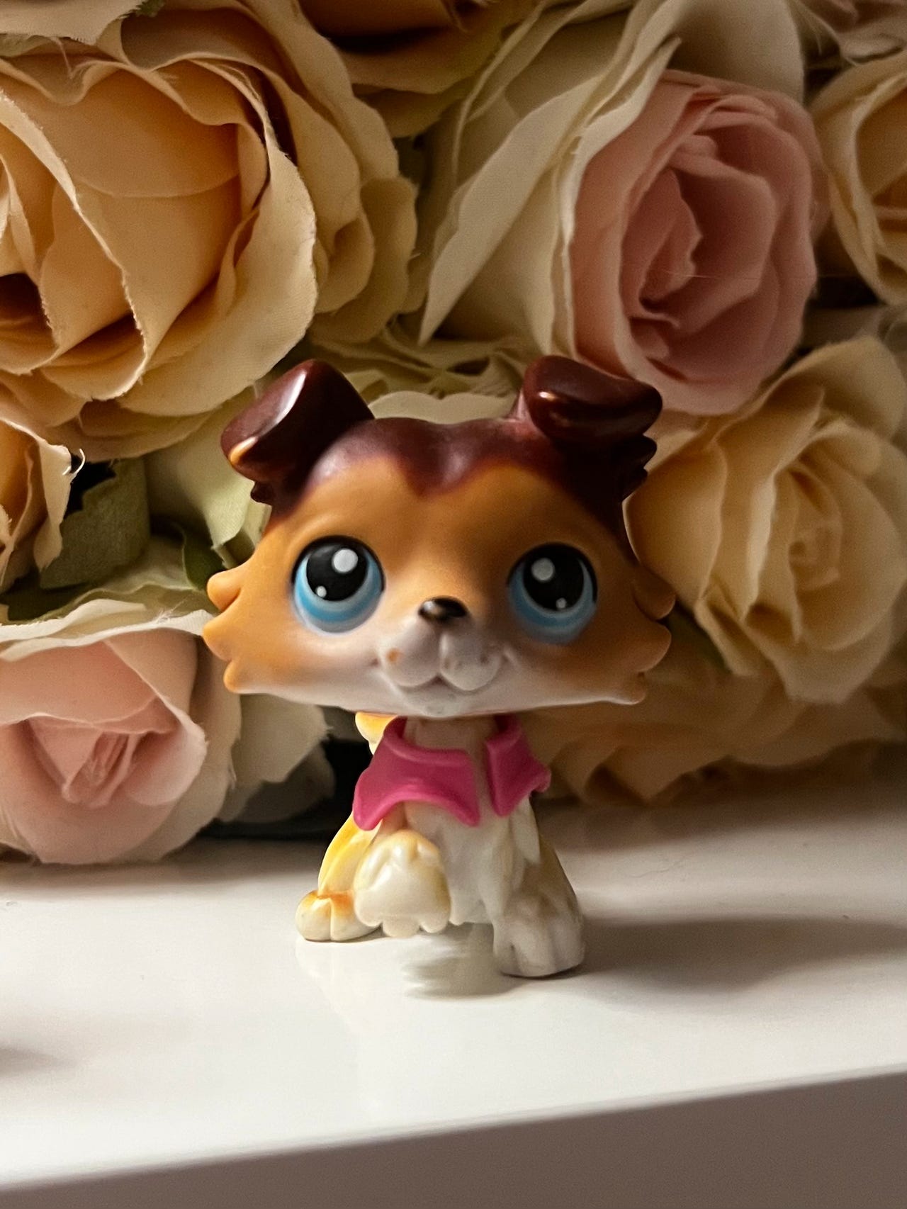 lps collie #58 | Tori