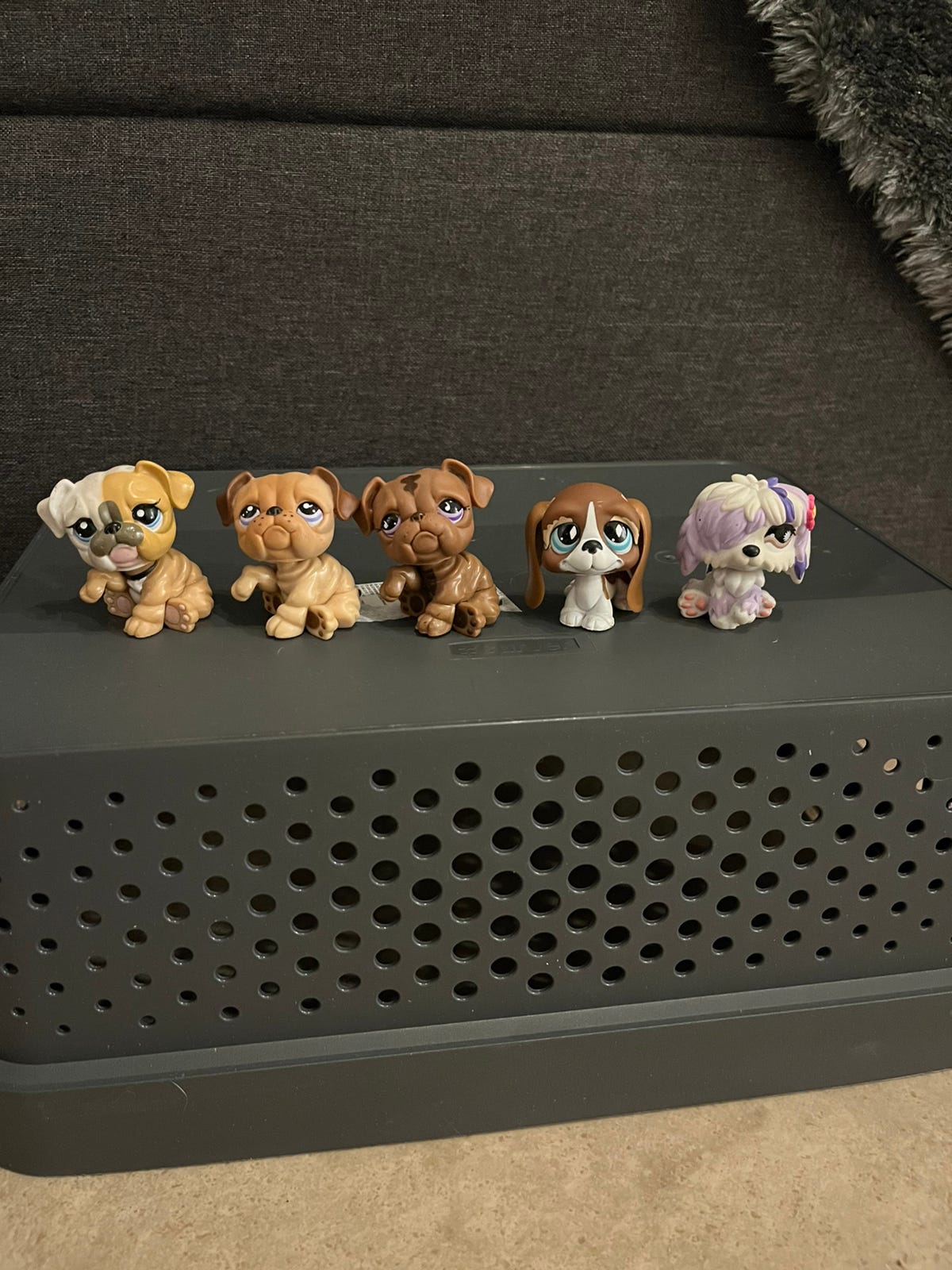 Lps koiria | Tori