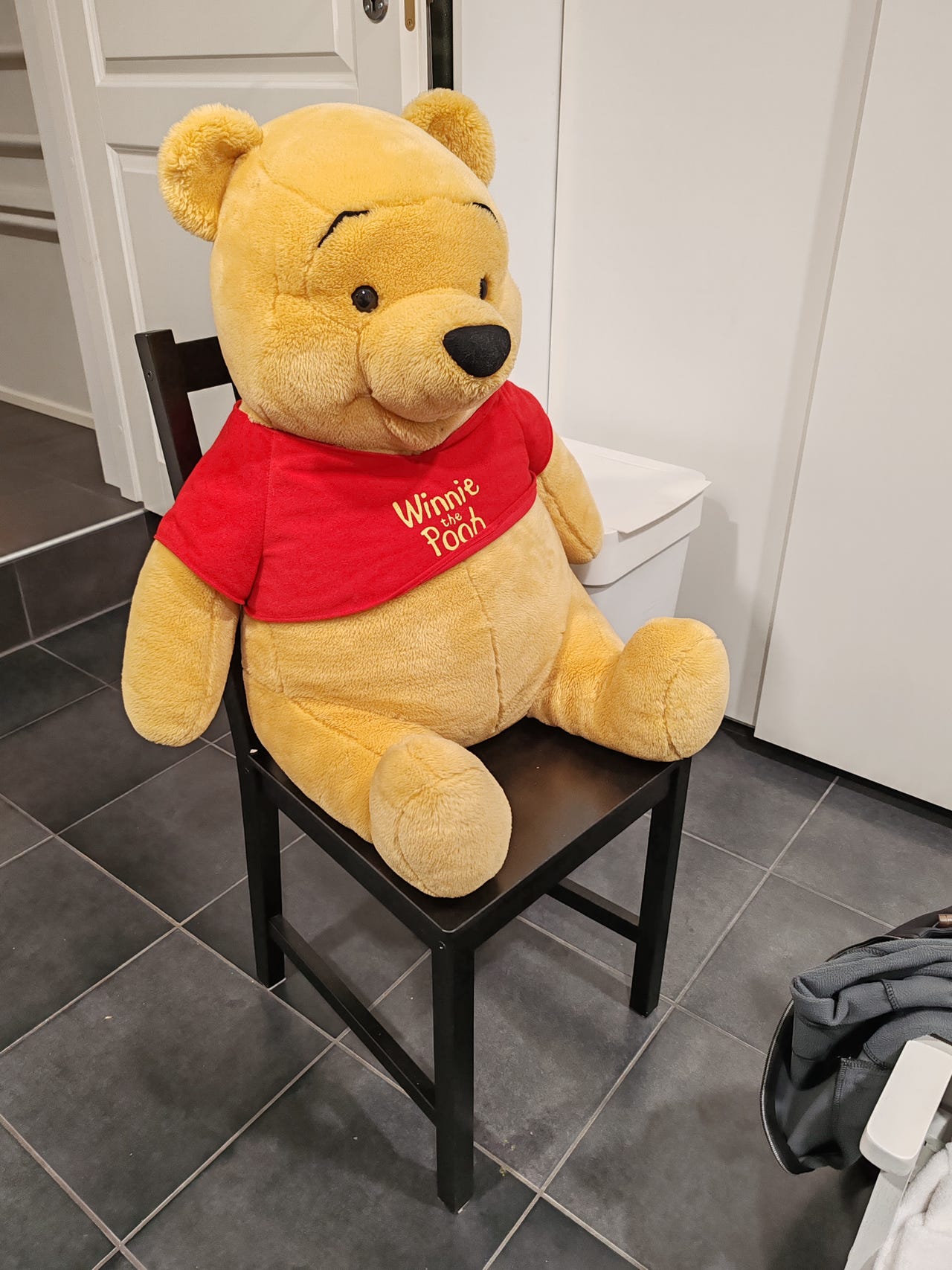 Iso nalle puh | Tori