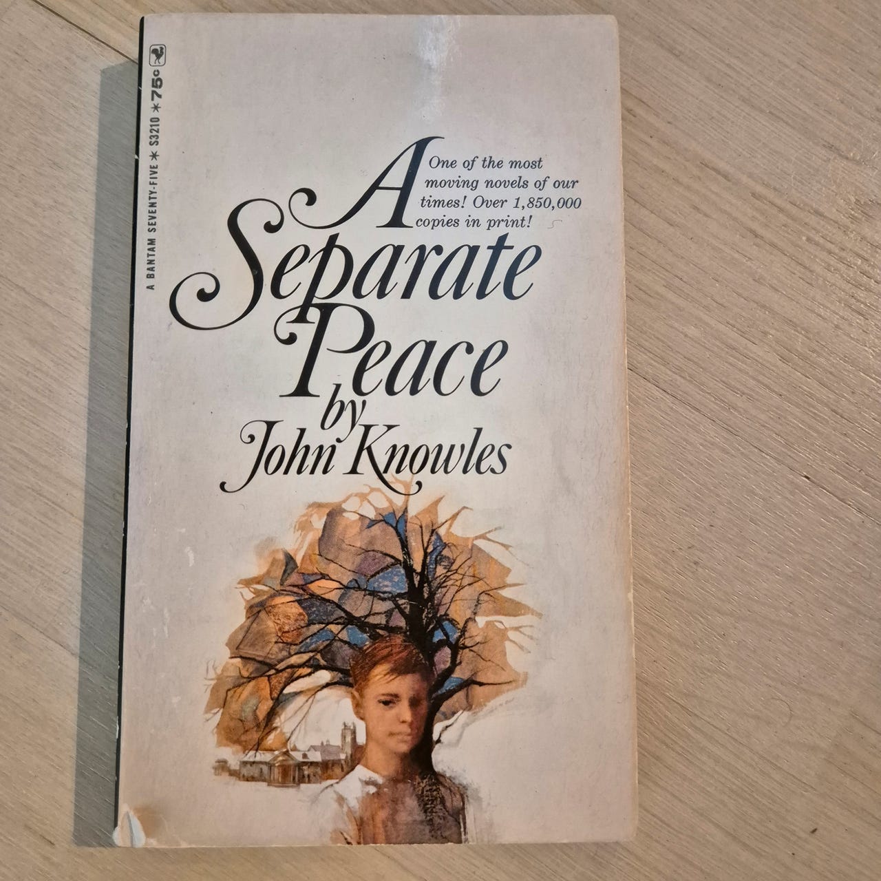 John Knowles A Separate Peace Kirja Englanninkielinen | Tori