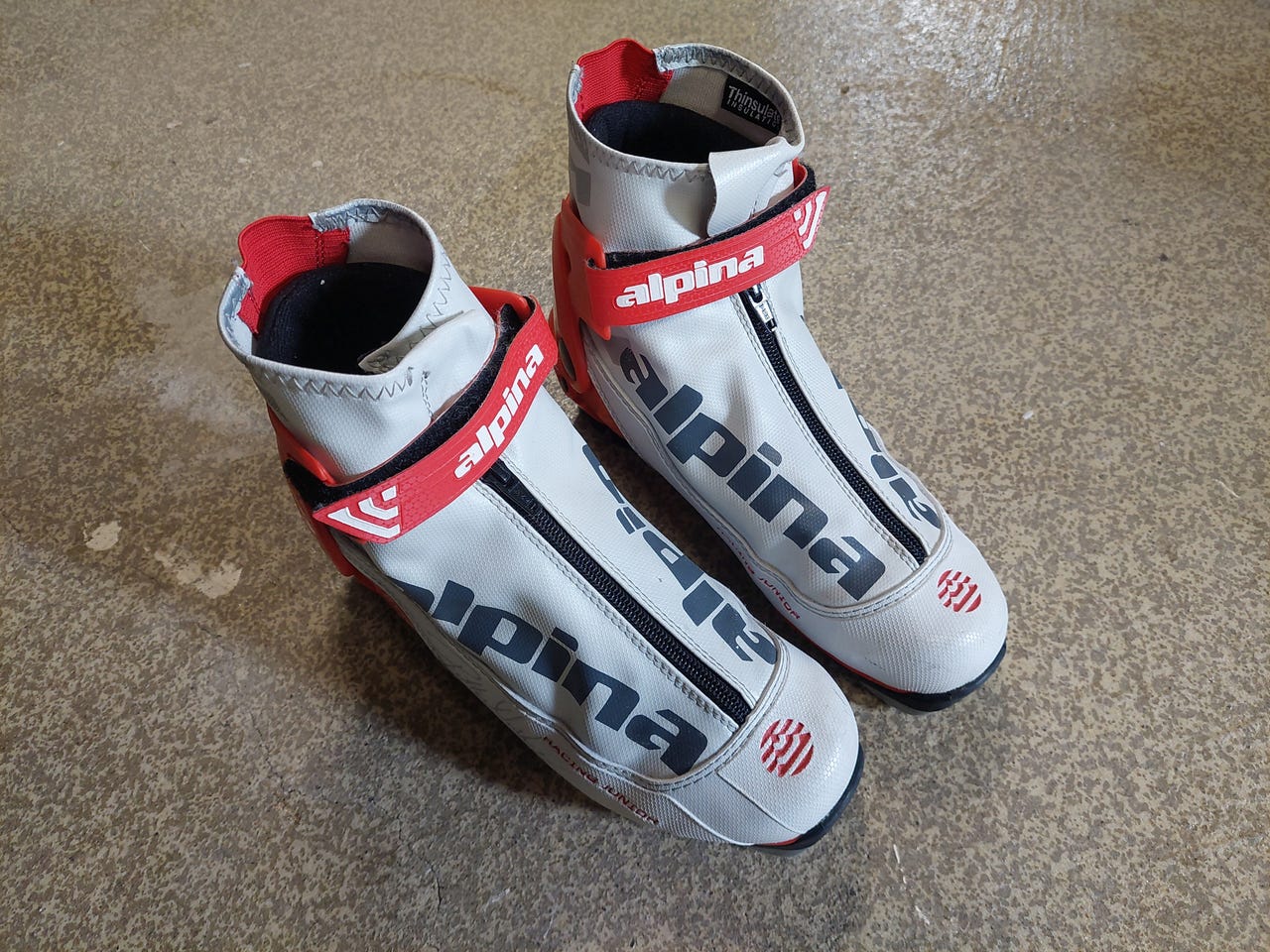 Alpina Racing Junior 39 | Tori