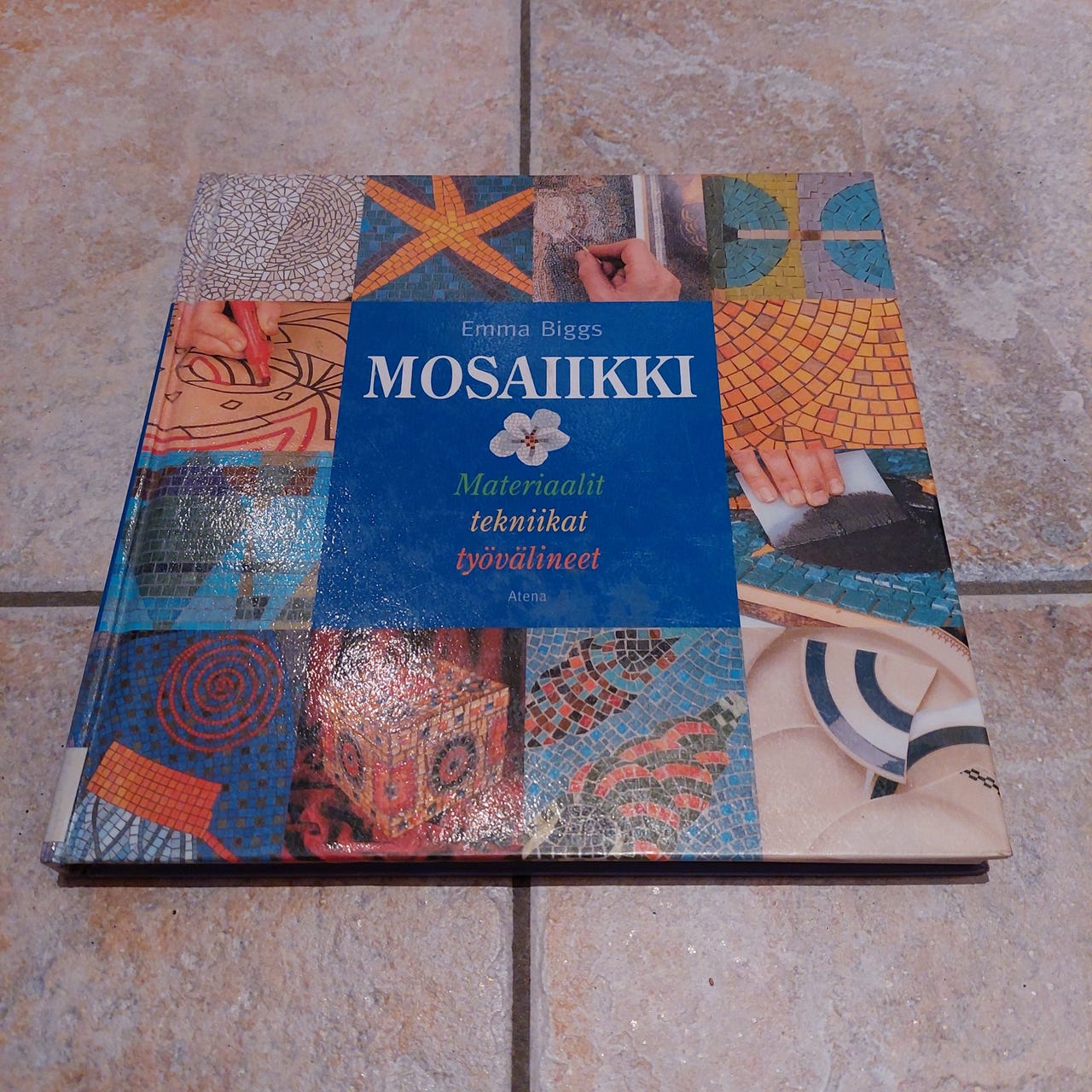 Emma Biggs, Mosaiikki | Tori