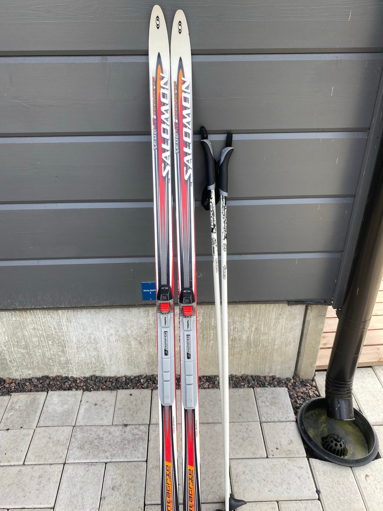Sukset Salomon 151cm, salomon monot koko 35,5 ja Exel sauvat 115cm | Tori