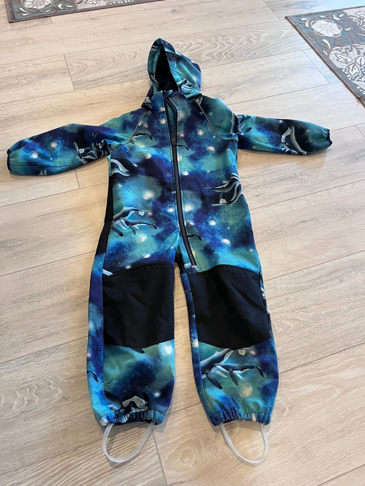 Ciraf haalari 98 | Tori