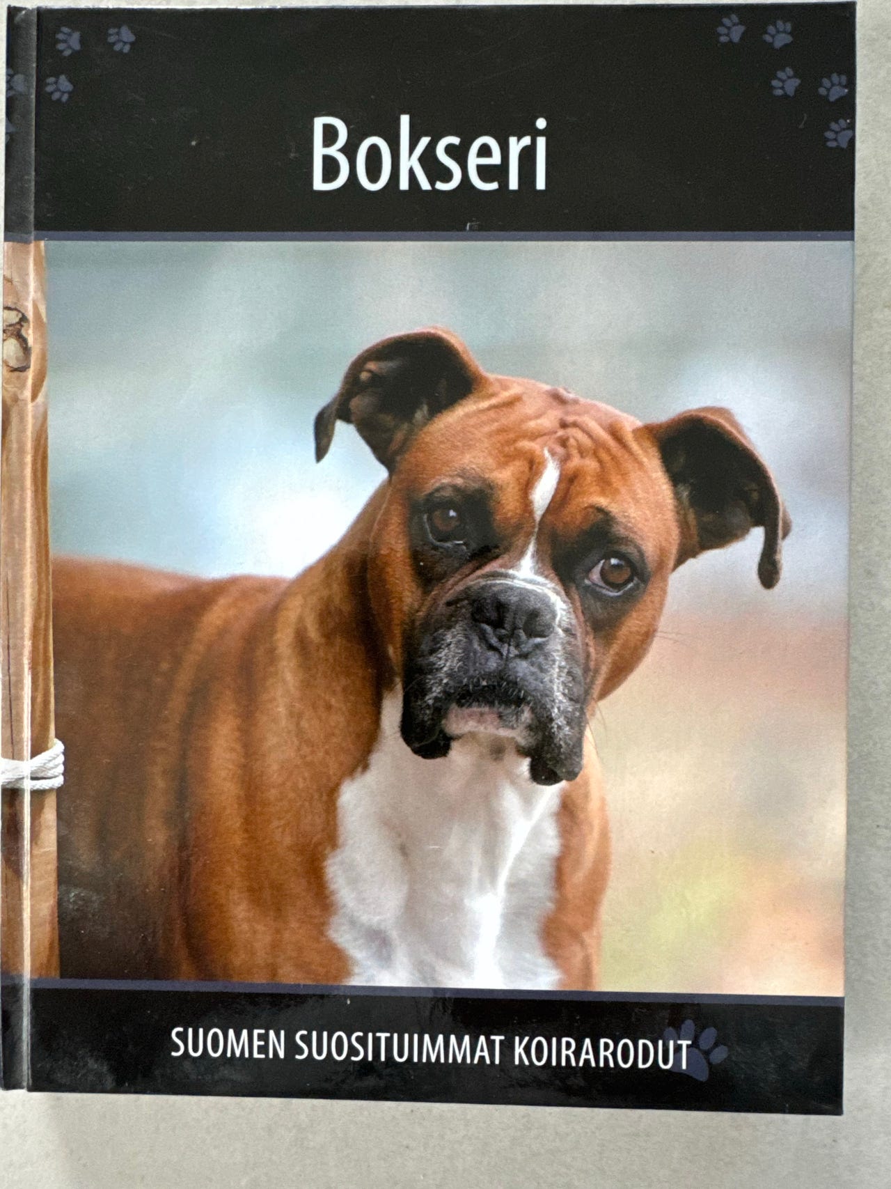 Bokseri -tietoa rodusta | Tori