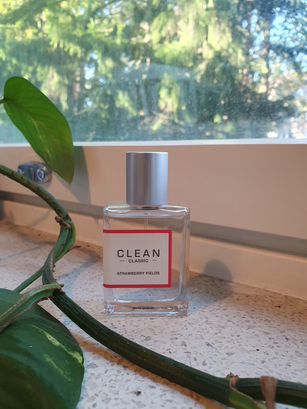Clean Strawberry Fields EdP | Tori