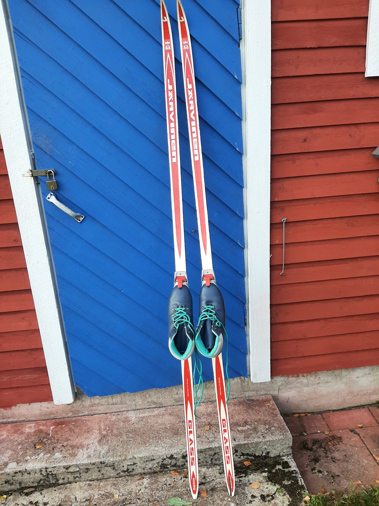 Murtomaasukset ja monot | Tori