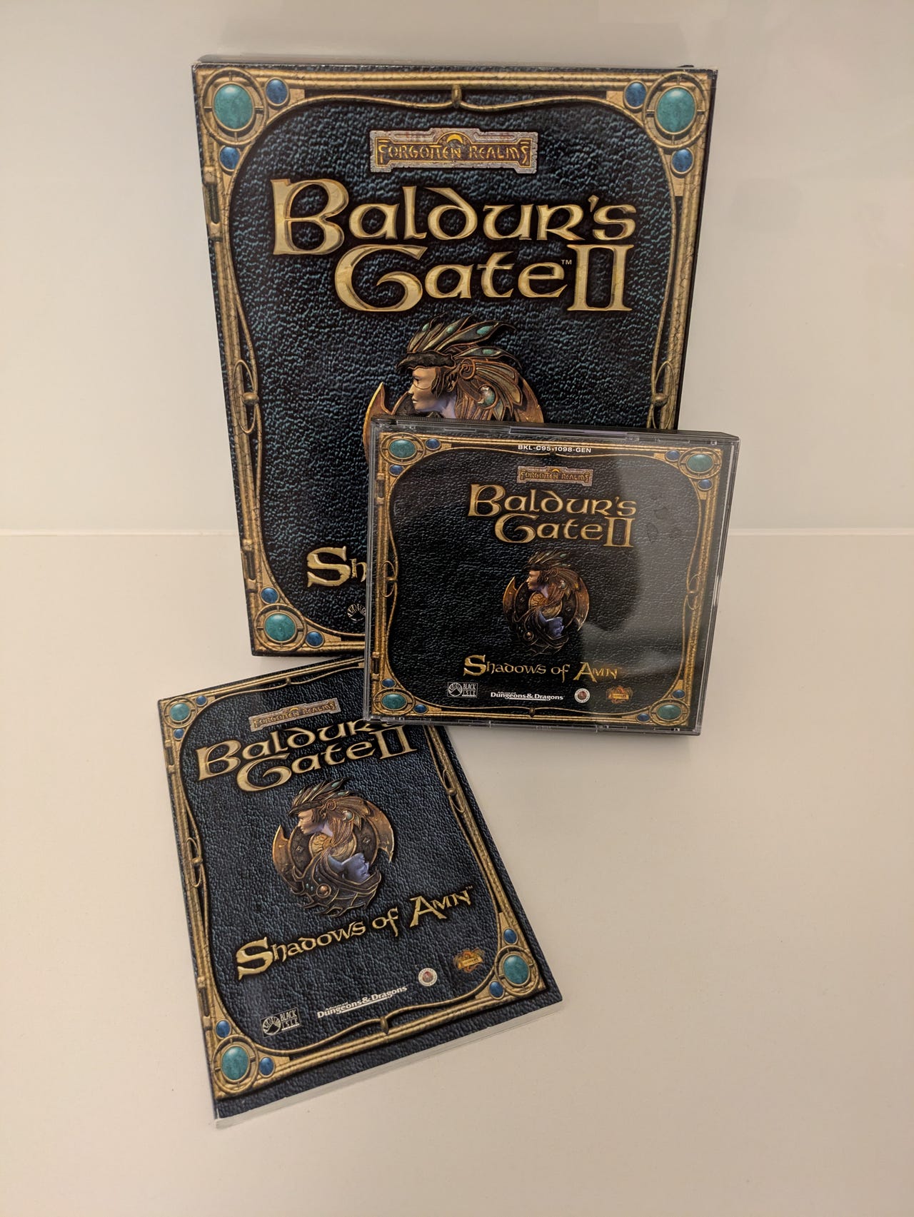 Baldour's Gate 2 Shadows of Amn retropeli | Tori