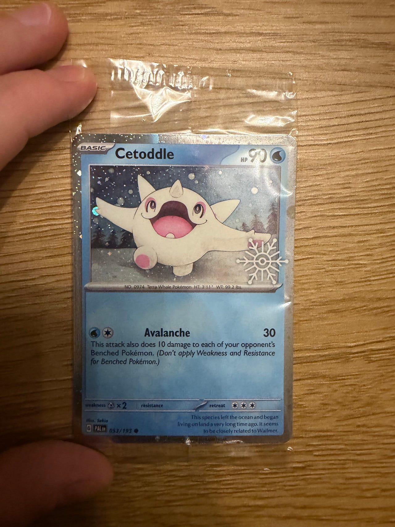 Pokemon Cetoddle 053/193 sealed snowflake stamp | Tori
