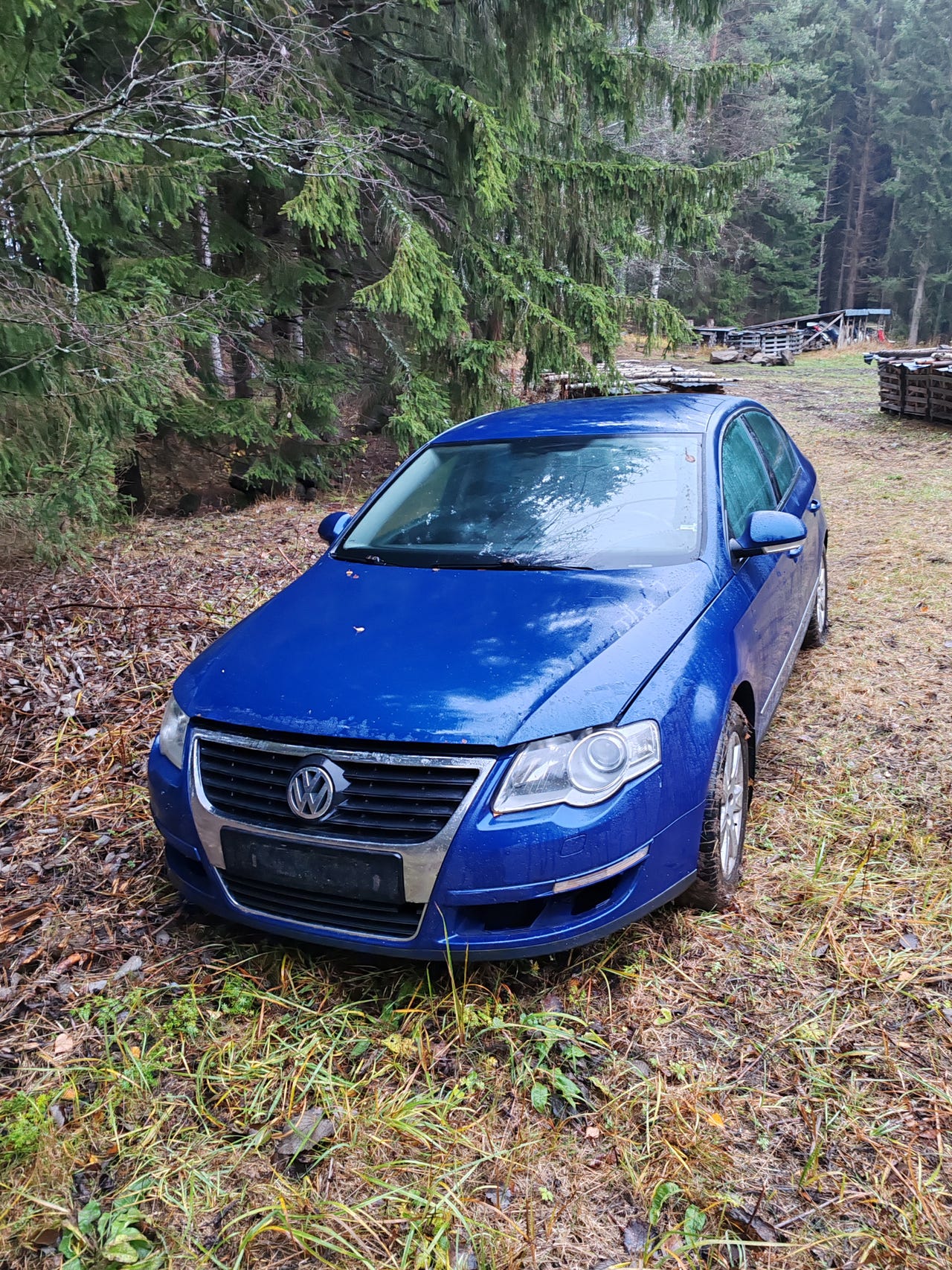 VW Passat B6 | Tori
