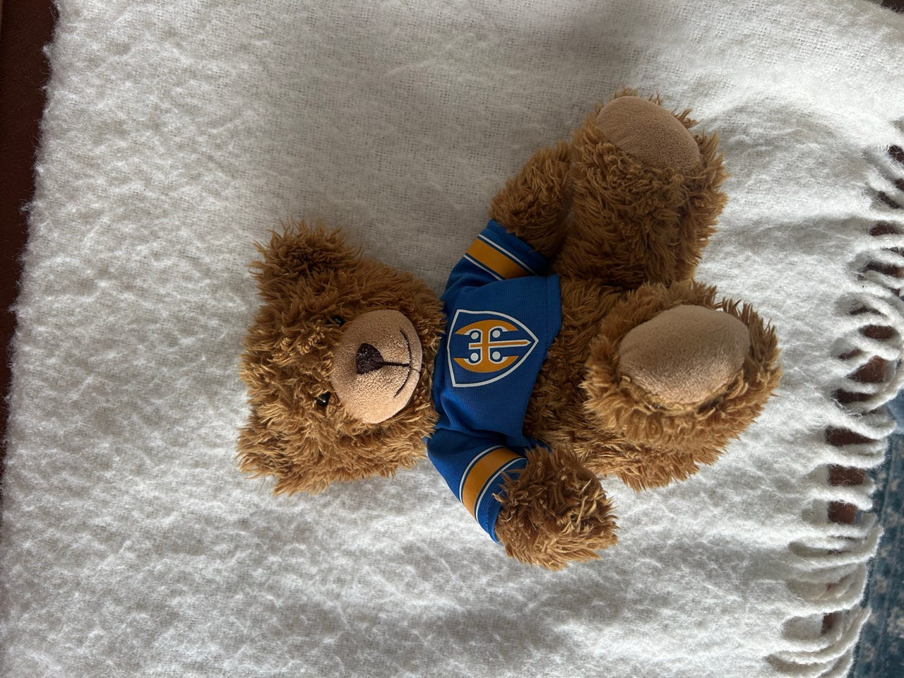 Tappara nalle | Tori