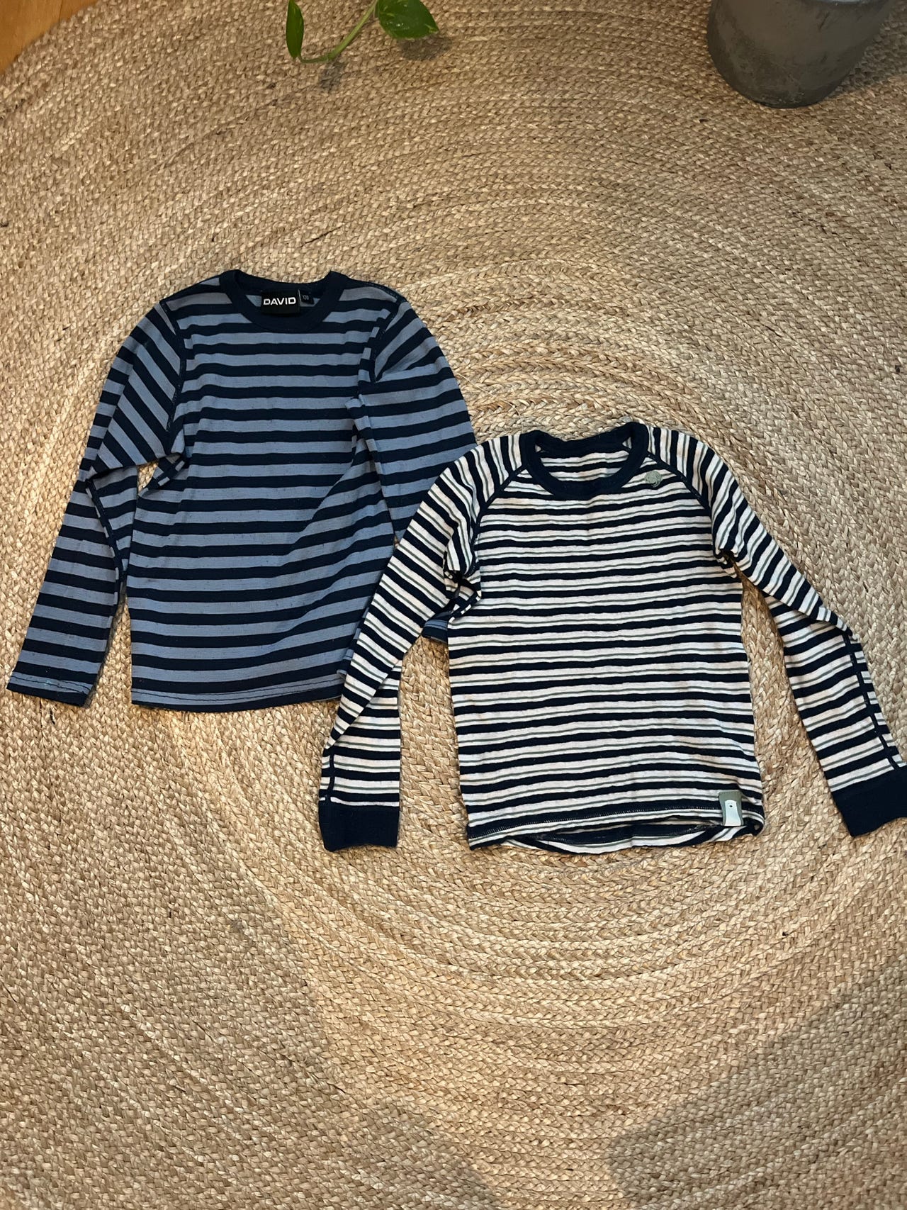 Pierre Robert ja David Merinovillapaidat 120 | Tori