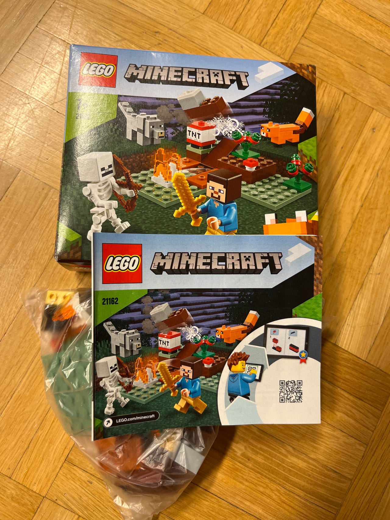 Lego minecraft 21162 | Tori