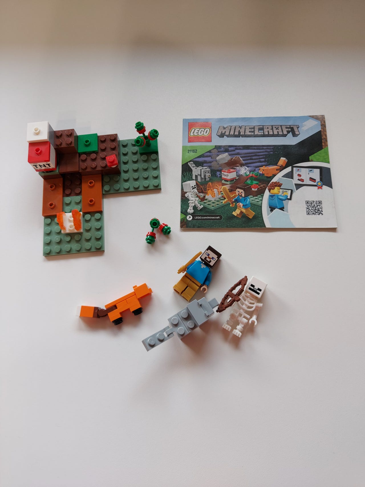 Lego 21162 Minecraft | Tori