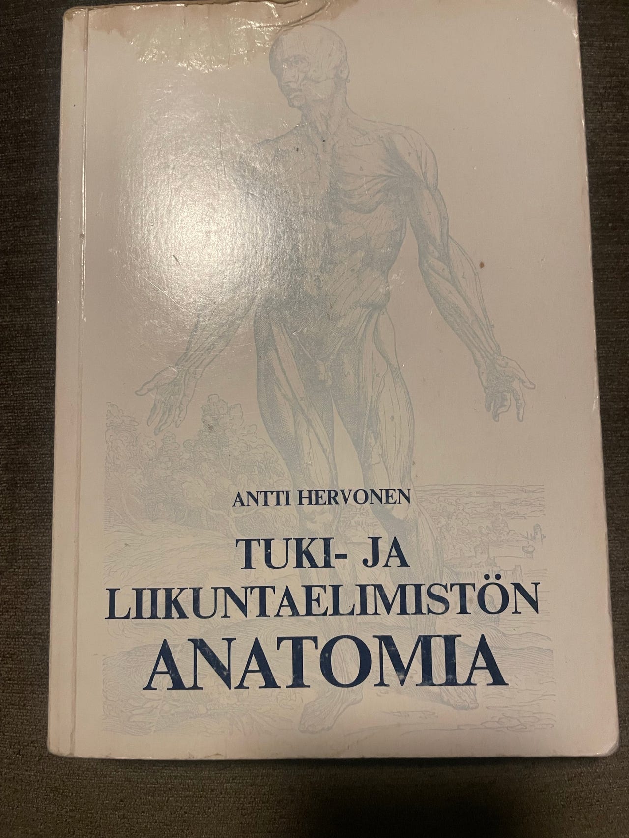 Antti Hervonen Tuki- ja liikuntaelimistön anatomia Kirja | Tori