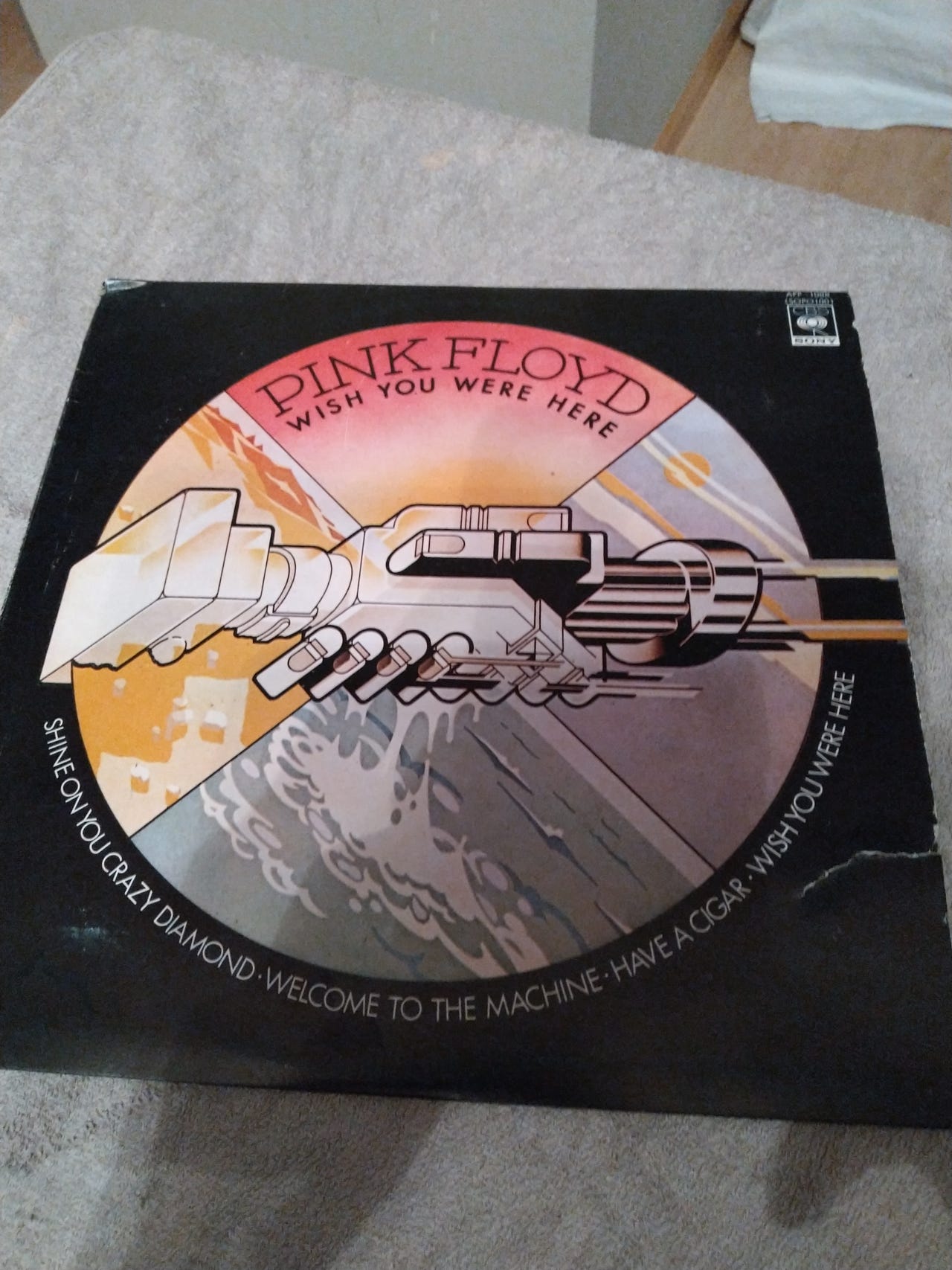 Pink Floyd Wish You Were Here LP-levy | Tori