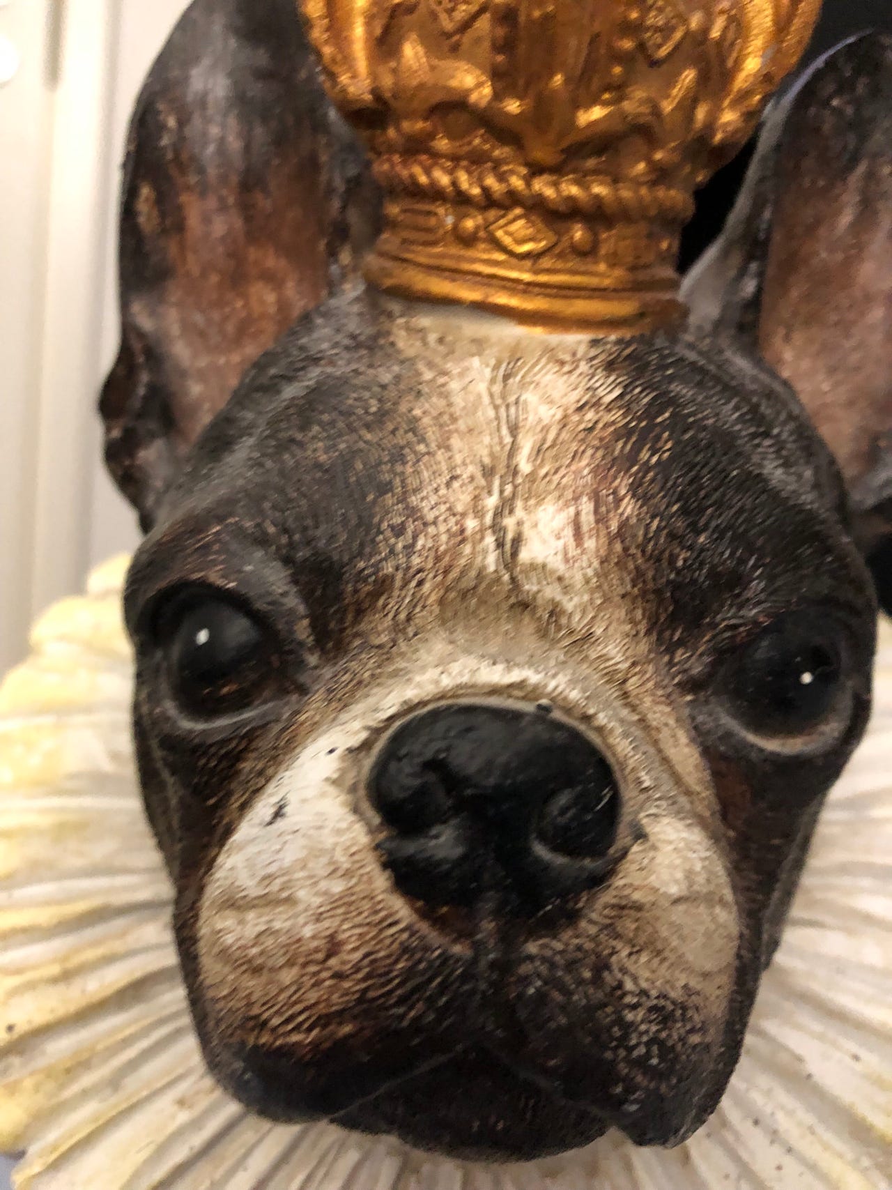 Kuningas koira mä oon | Tori