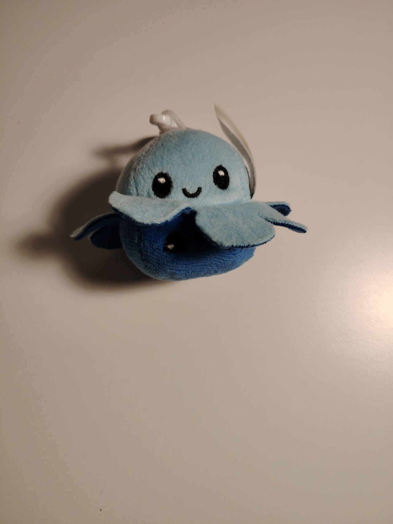 Pehmolelu | Tori