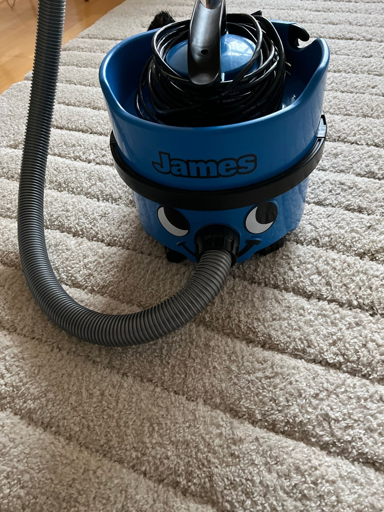 Numatic James JVT 187-11 Imuri sininen | Tori