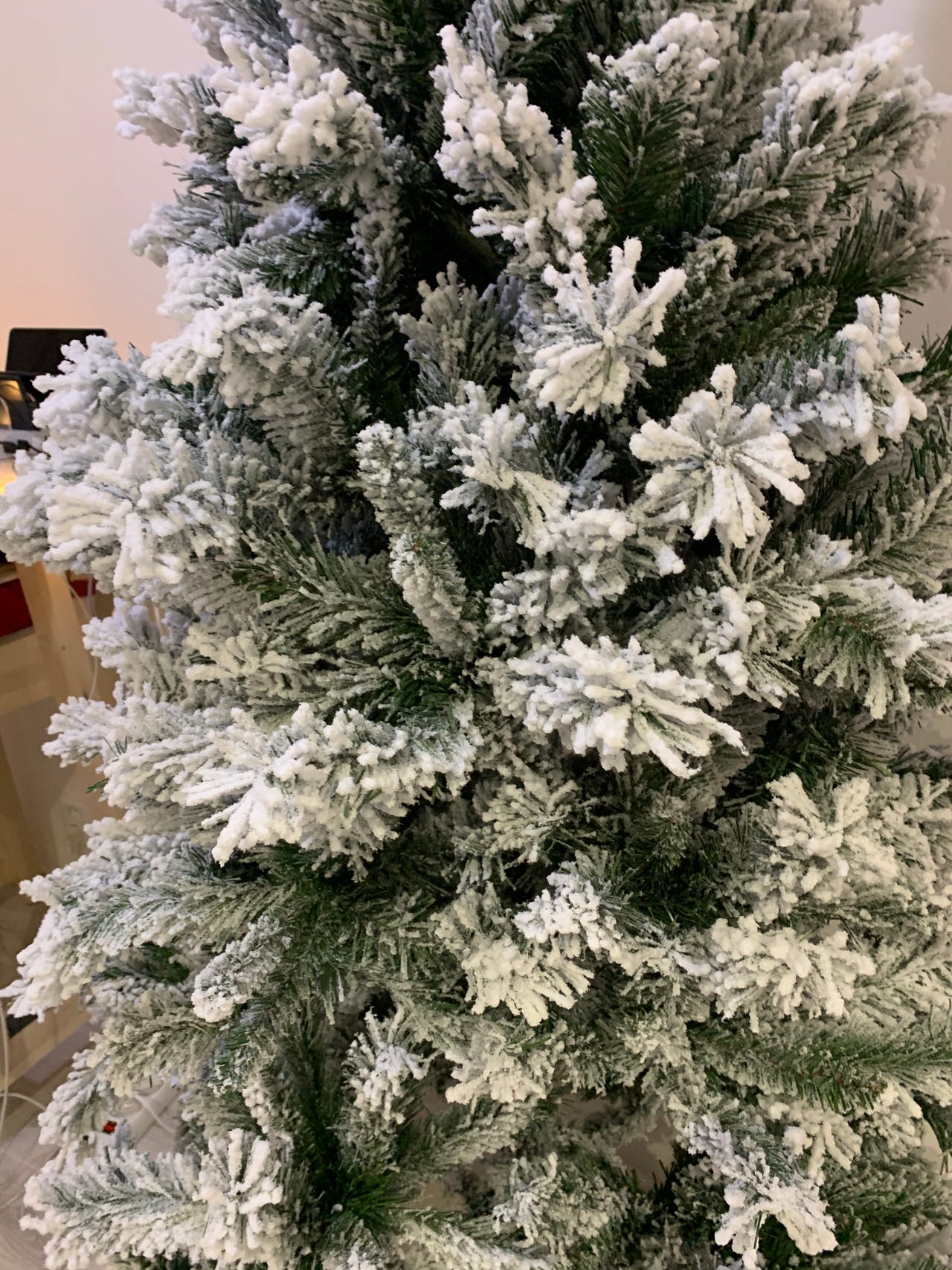 Chandler Green Frosted Christmas tree 🎄 (185 cm/6 ft) | Tori
