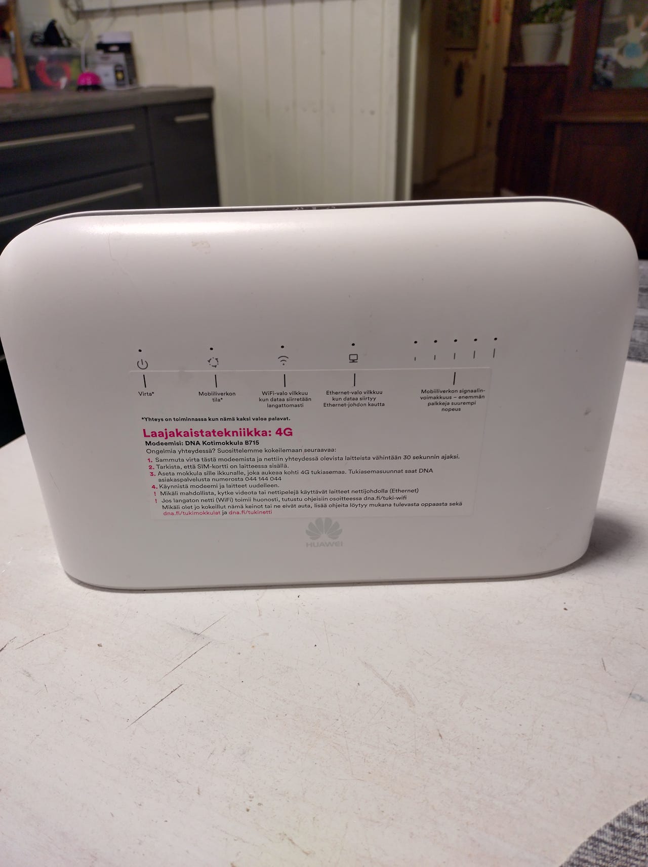 DNA kotimokkula 4g | Tori