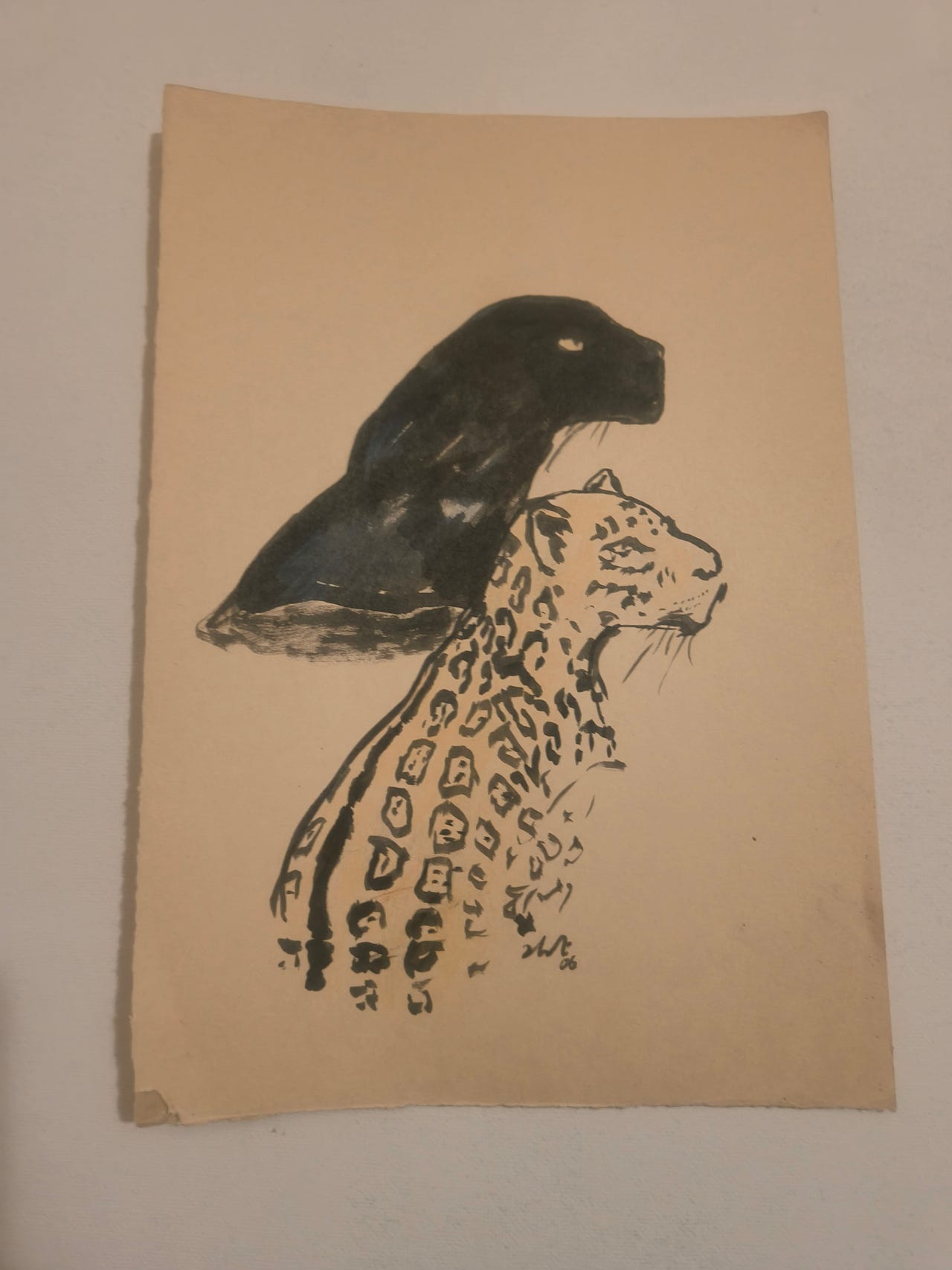 2 leopardia | Tori