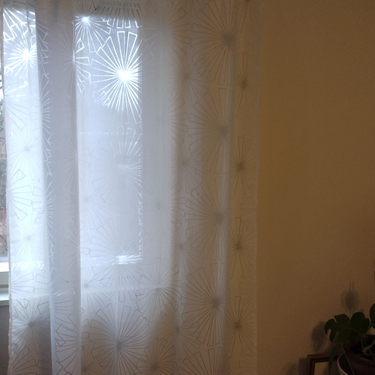 Valkoinen , kaunis valoverho , läpinäkyvä kuvio | Tori