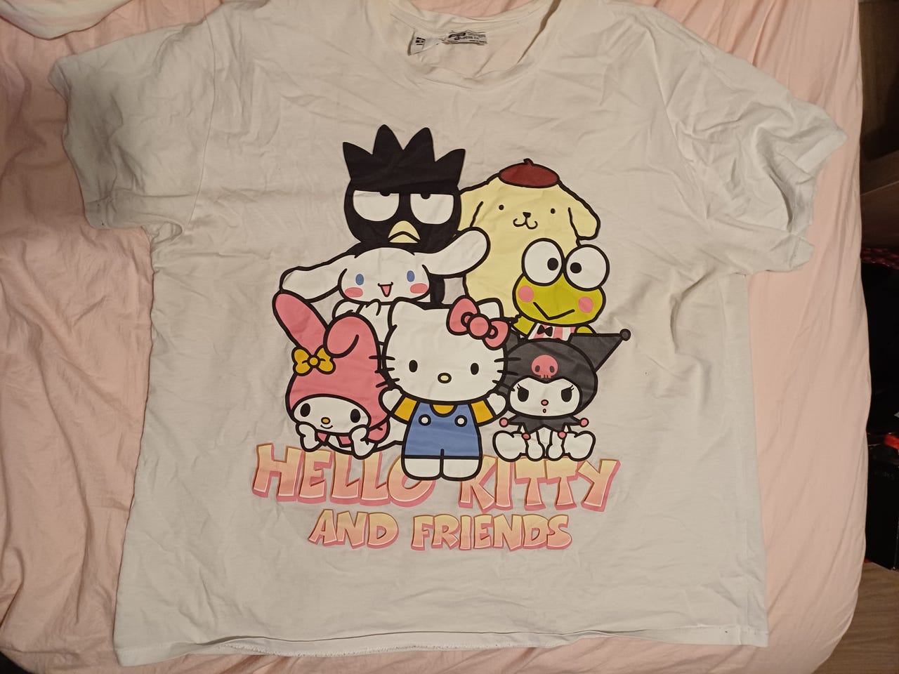Hello Kitty and friends tpaita | Tori