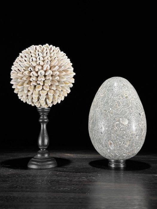 Koriste-esine - Ei lähtöhintaa - kaunis pari Shell Ball ja Turritella ...