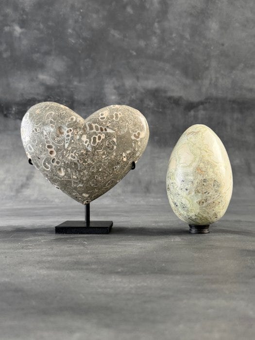 Koriste-esine - C - A pair of Turritella heart shape and onyx egg shape ...