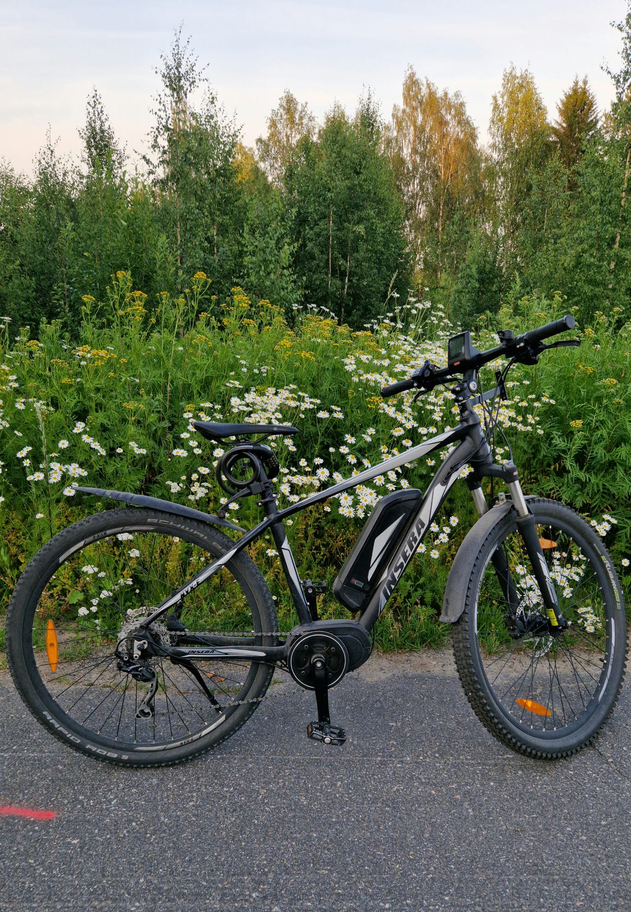 E Bike from Insera | Tori