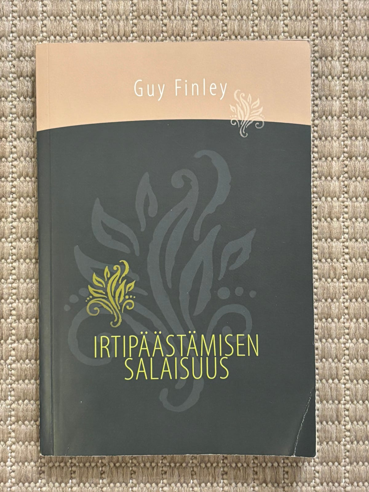 Irtipäästämisen salaisuus. Guy Finley | Tori