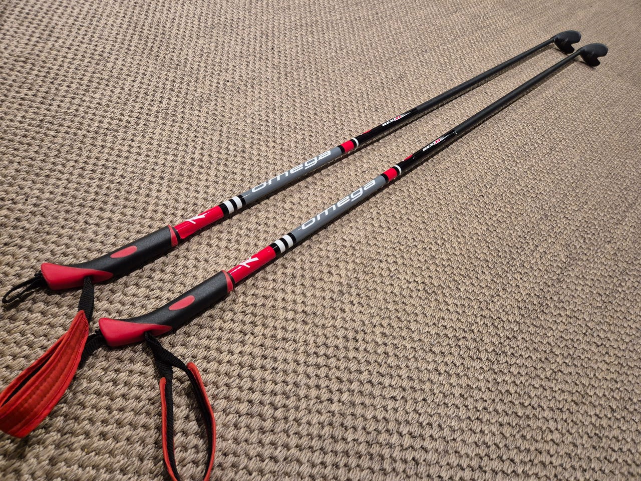 Rex Omega 123 cm sauvat | Tori