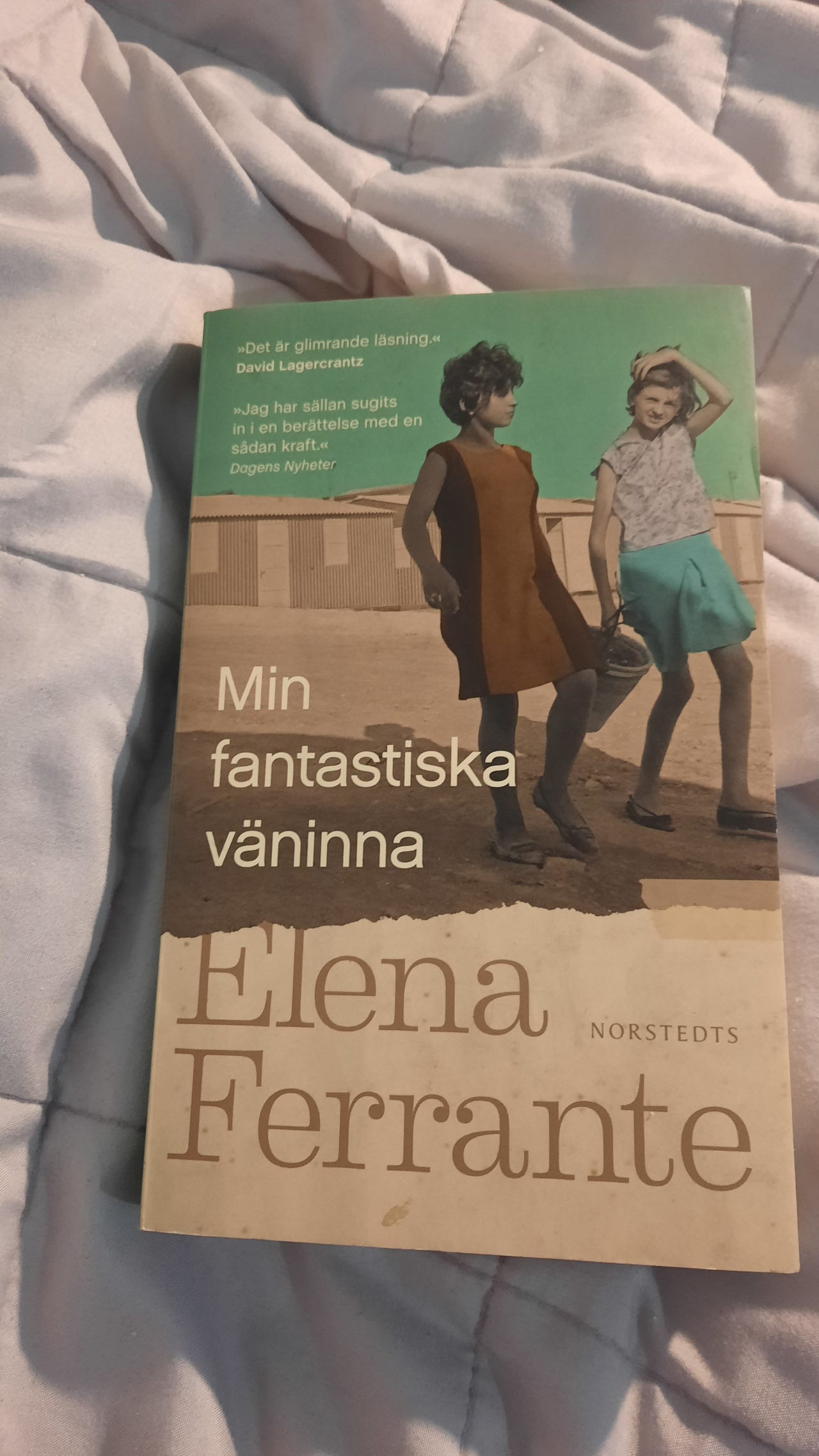 Elena Ferrante: Min fantastiska väninna | Tori